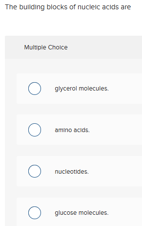 Solved The building blocks of nuclelc acids areMultiple | Chegg.com
