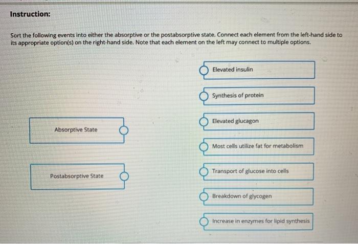 Solved Instruction: Sort the following events into either | Chegg.com