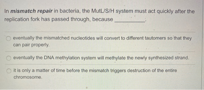 Solved In mismatch repair in bacteria, the MutL/S/H system | Chegg.com