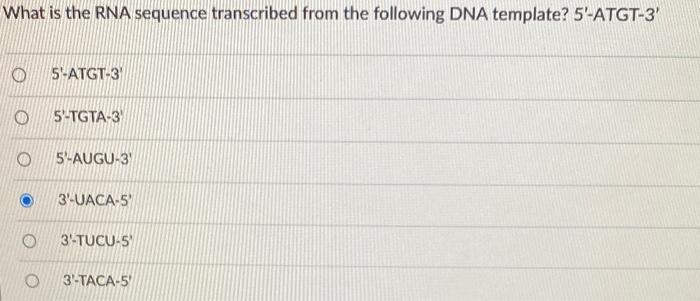 Solved What is the RNA sequence transcribed from the | Chegg.com