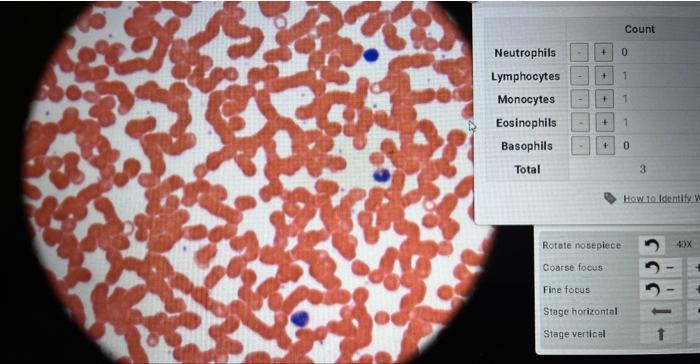 Solved Lab Data | Chegg.com
