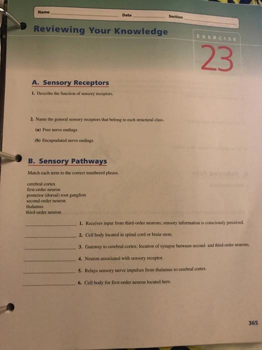 Solved Name Date Section Reviewing Your knowledge EXERCISE | Chegg.com