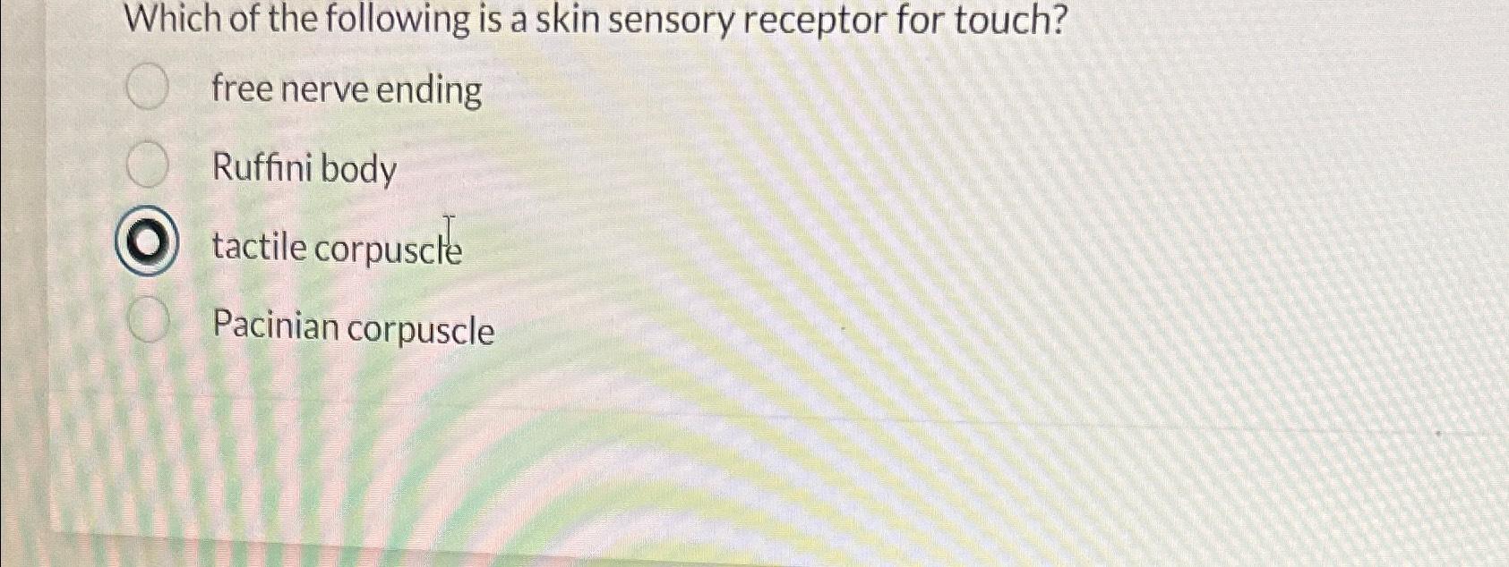 Solved Which of the following is a skin sensory receptor for | Chegg.com