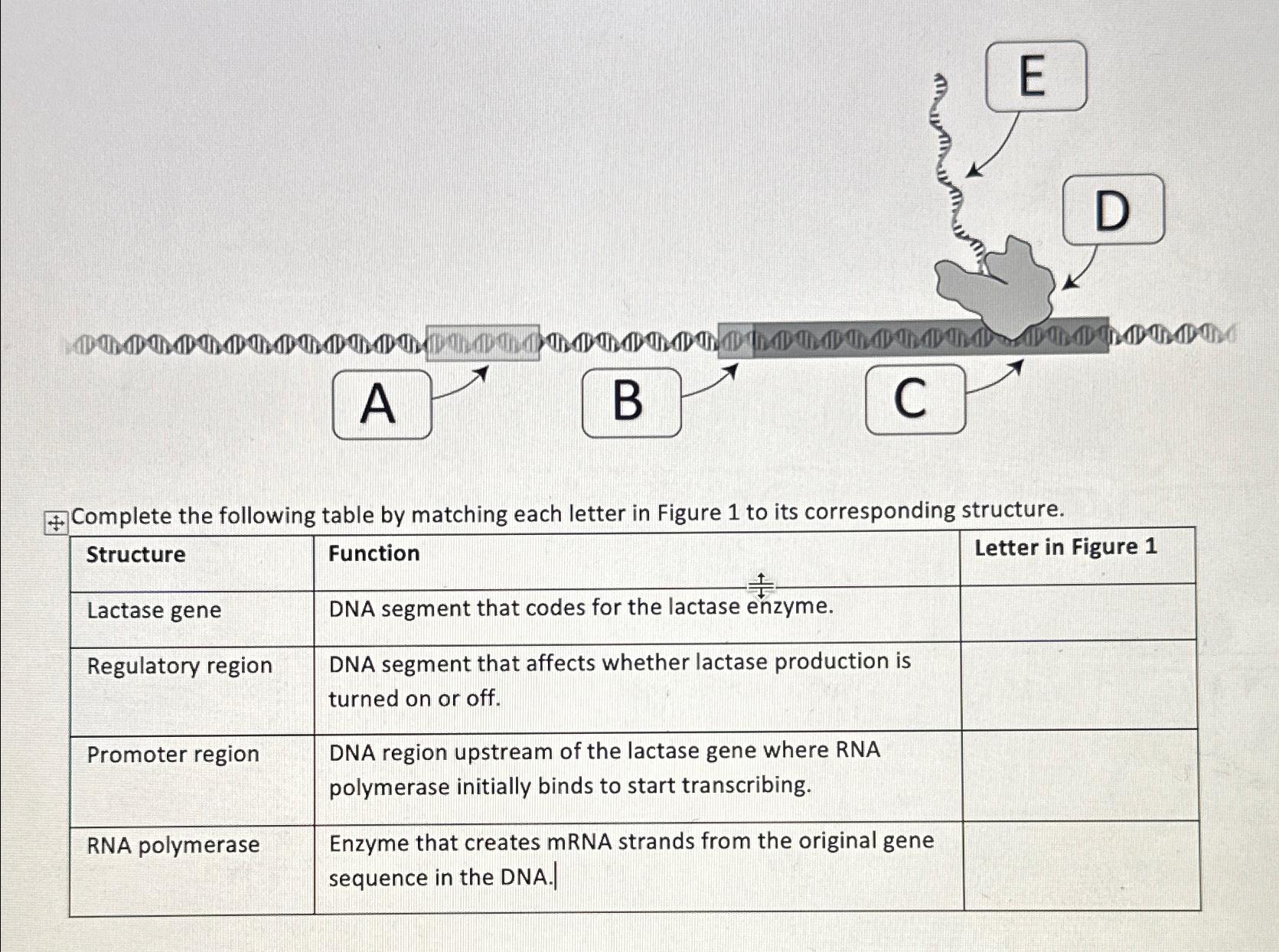 Solved Complete the following table by matching each letter | Chegg.com