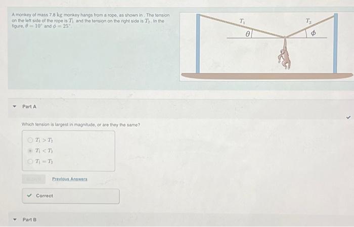 Solved A monkey of mass 7.8 kg monkey hangs from a rope, as | Chegg.com