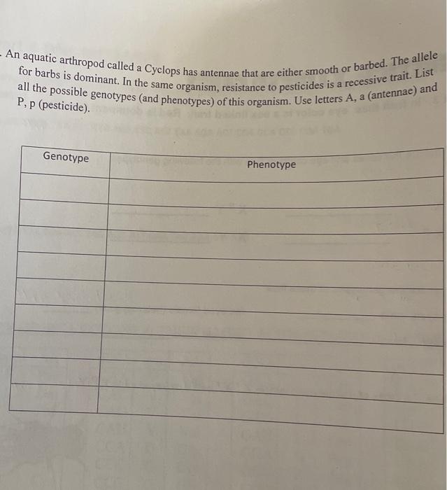 An aquatic arthropod called a Cyclops has antennae | Chegg.com