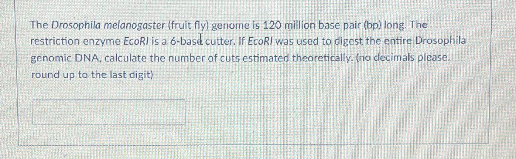 Solved The Drosophila melanogaster (fruit fly) ﻿genome is | Chegg.com