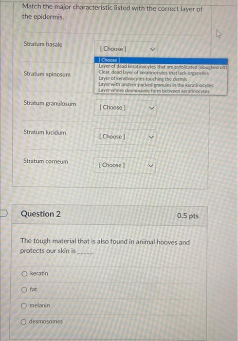 Solved Match the major characteristic listed with the | Chegg.com