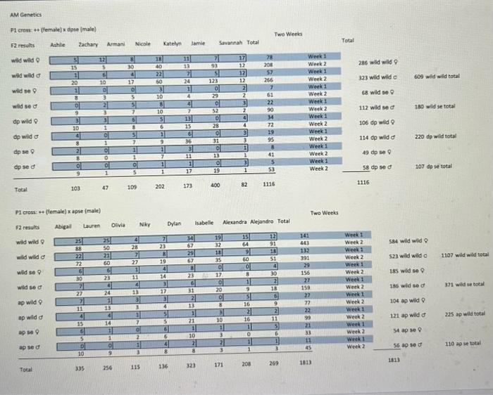 AM Genetics P1 cross +t (female) x dpse imale) Two | Chegg.com
