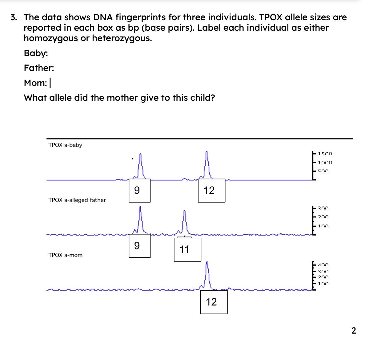 Solved The data shows DNA fingerprints for three | Chegg.com