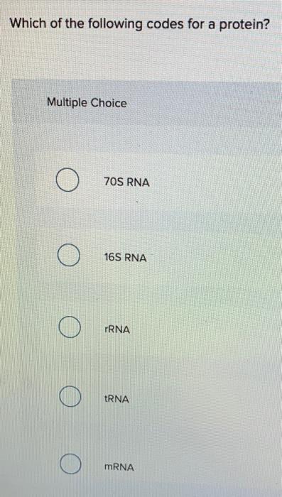 Solved Which of the following codes for a protein? Multiple | Chegg.com