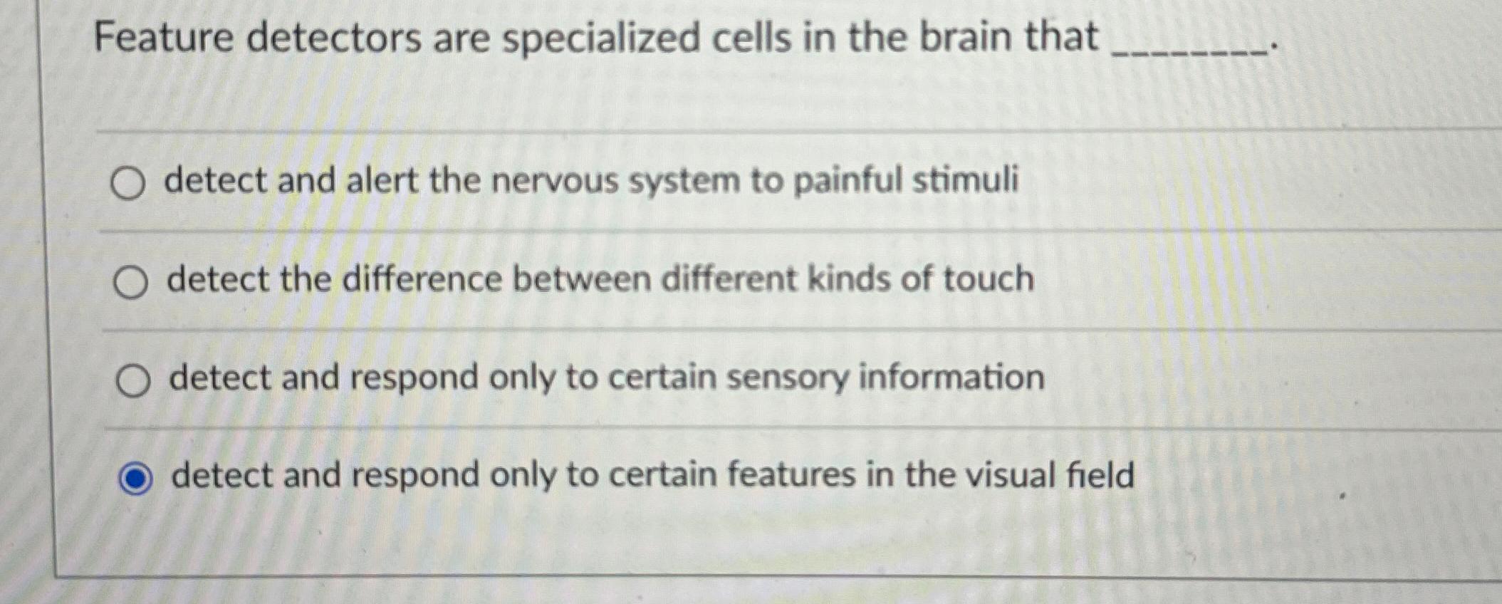 Solved Feature detectors are specialized cells in the brain | Chegg.com