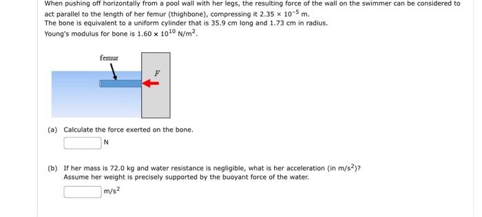 Solved When pushing off horizontally from a pool wall with | Chegg.com