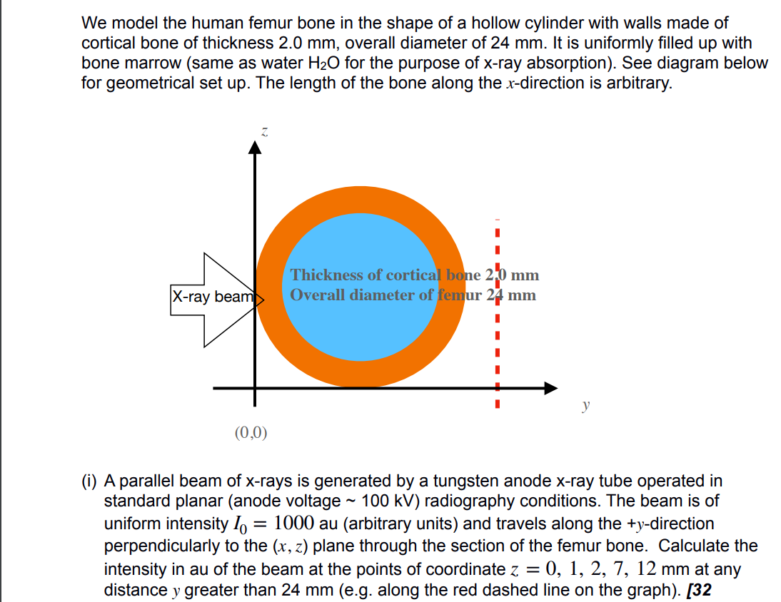 Solved We model the human femur bone in the shape of a | Chegg.com