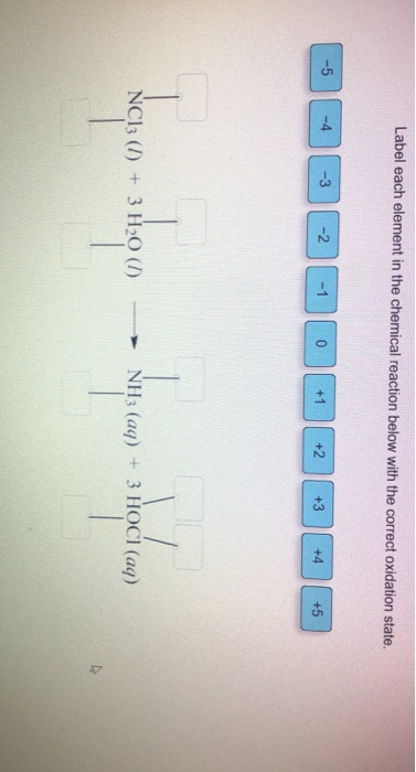 Solved Label each element in the chemical reaction below | Chegg.com
