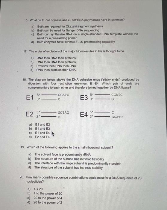 Solved 16. What do E coli primase and E coll RNA polymerase | Chegg.com
