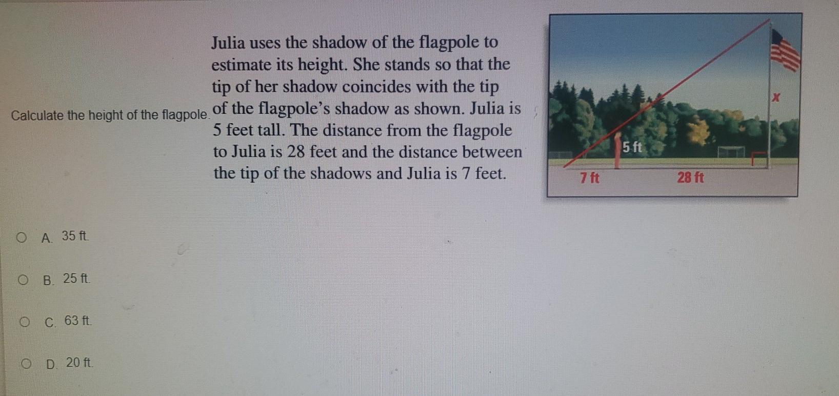 Solved Julia uses the shadow of the flagpole to estimate its | Chegg.com
