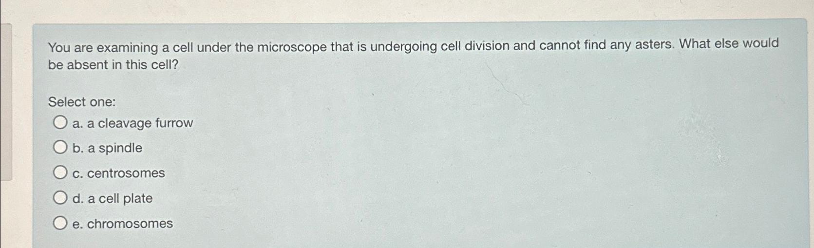 Solved You are examining a cell under the microscope that is | Chegg.com