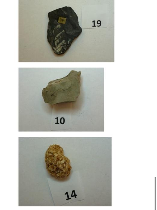 Solved INSTRUCTIONS:Using the provided supplementary | Chegg.com