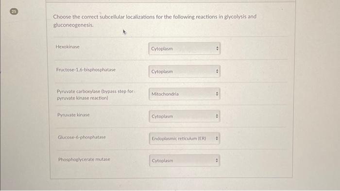 Solved Choose the correct subcellular localizations for the | Chegg.com