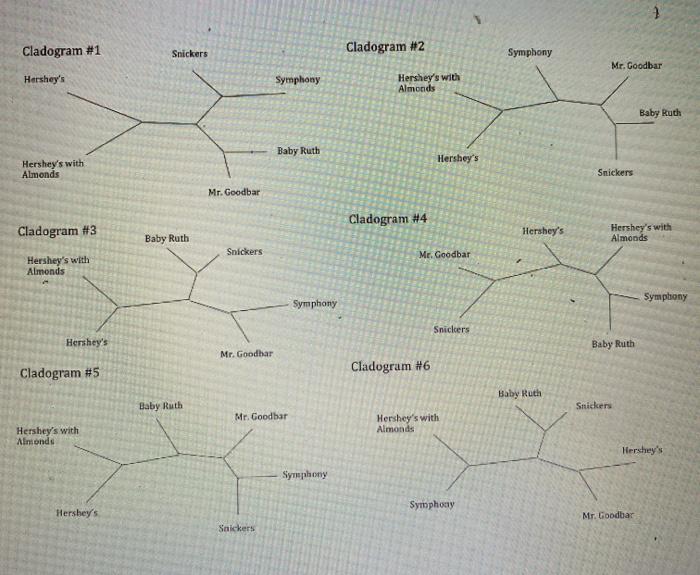 Data Tables Ingredient Matrix: For each taxon, | Chegg.com