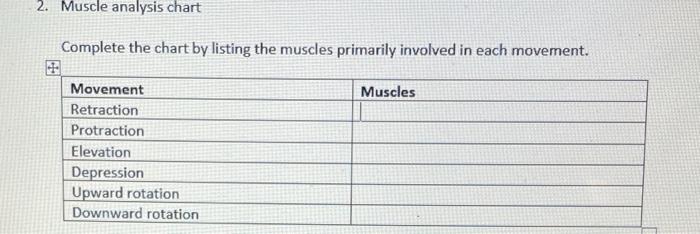Solved 2. Muscle analysis chart Complete the chart by | Chegg.com