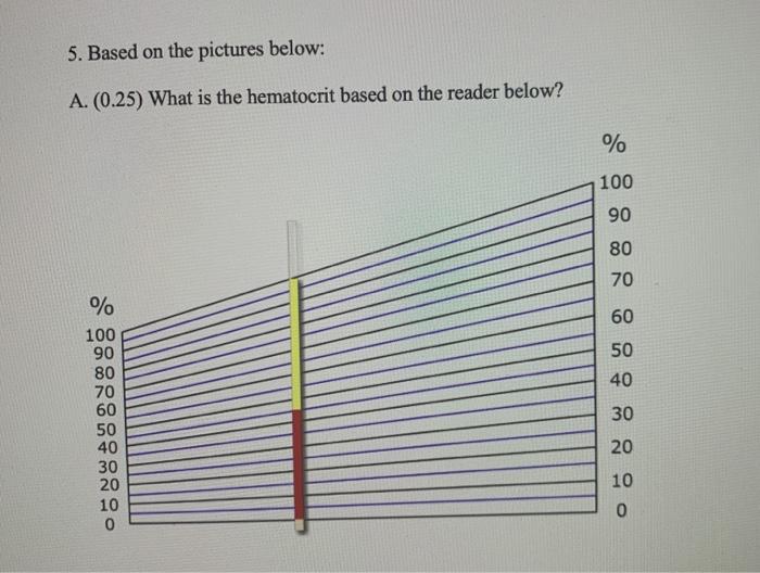Solved 5. Based on the pictures below: A. (0.25) What is the | Chegg.com