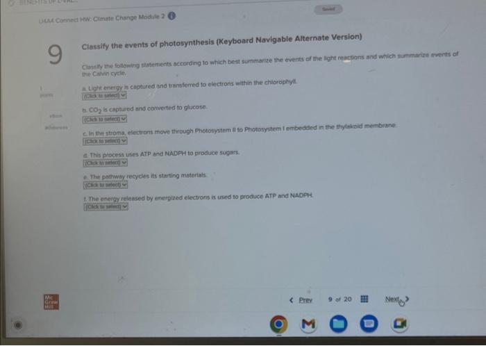 Solved Classify the events of photosynthesis (Keyboard | Chegg.com
