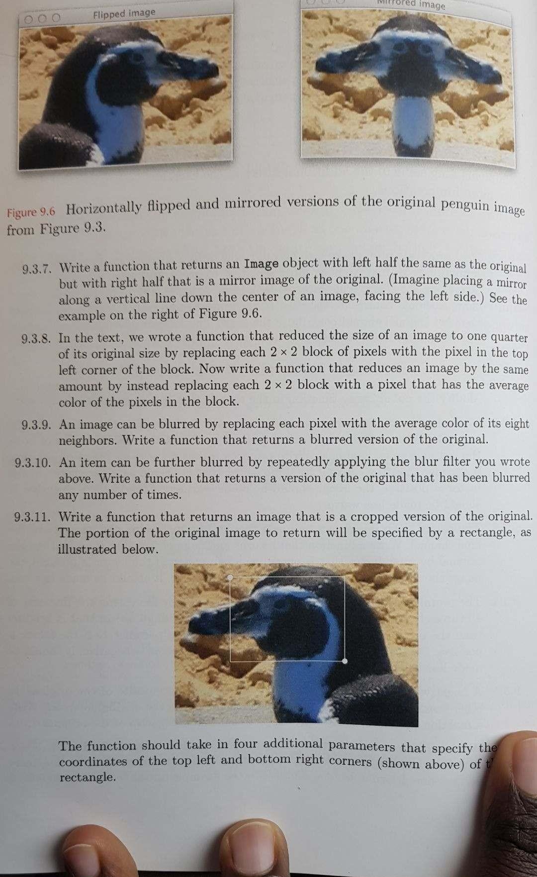 Mirrored image Flipped image Figure 9.6 Horizontally | Chegg.com