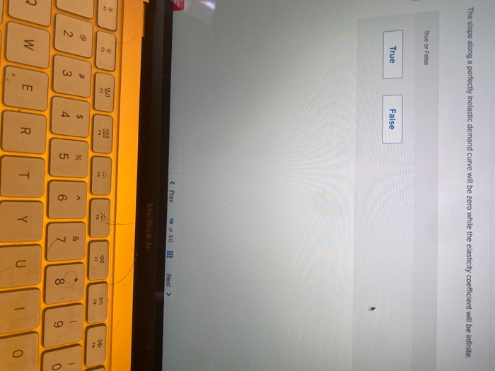 Solved The slope along a perfectly inelastic demand curve | Chegg.com