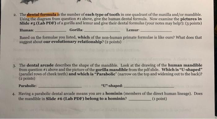 2. The dental formula is the number of each type of | Chegg.com