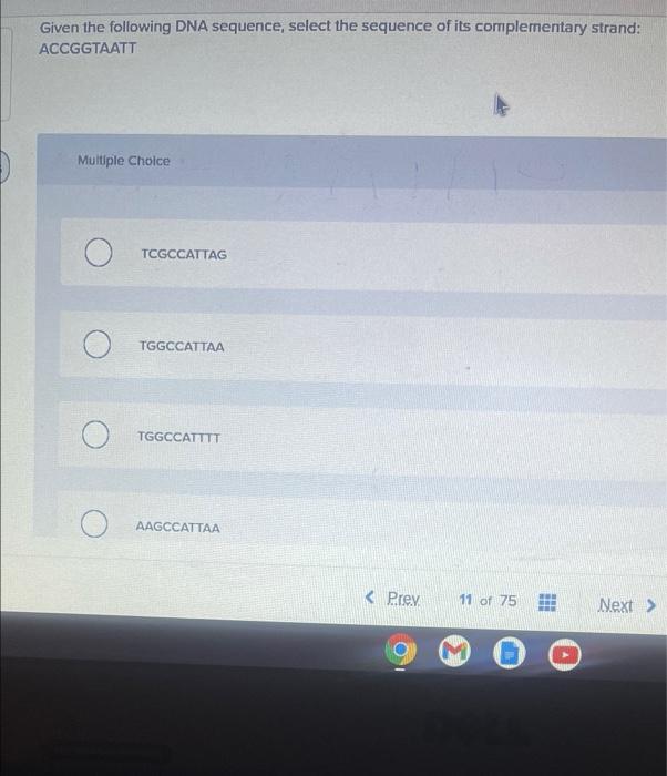 Solved Given the following DNA sequence, select the sequence | Chegg.com