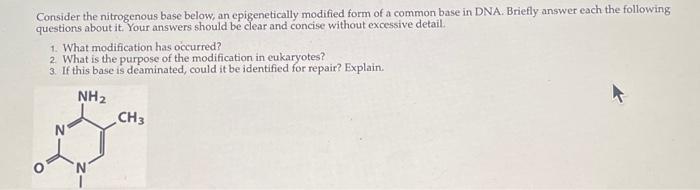 Solved Consider the nitrogenous base below, an | Chegg.com