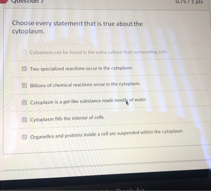 Solved Choose All Statements That Are True About Rna The