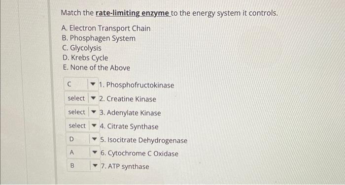 Solved Match the rate-limiting enzyme to the energy system | Chegg.com