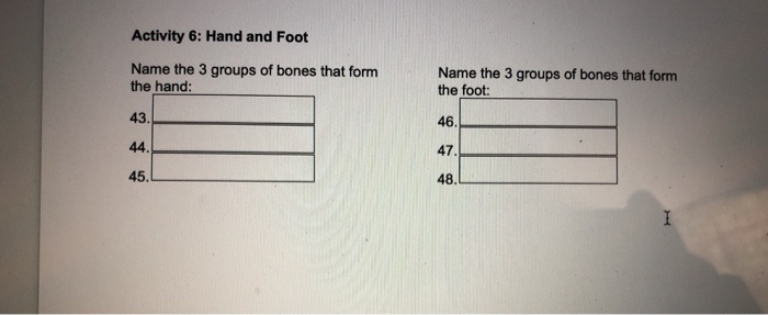 Solved Activity 6: Hand and Foot Name the 3 groups of bones | Chegg.com