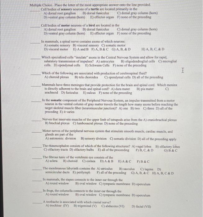 Solved Multiple Choice. Place the letter of the most | Chegg.com