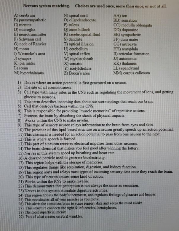 Solved Nervous system matching. Choices are used once, more | Chegg.com