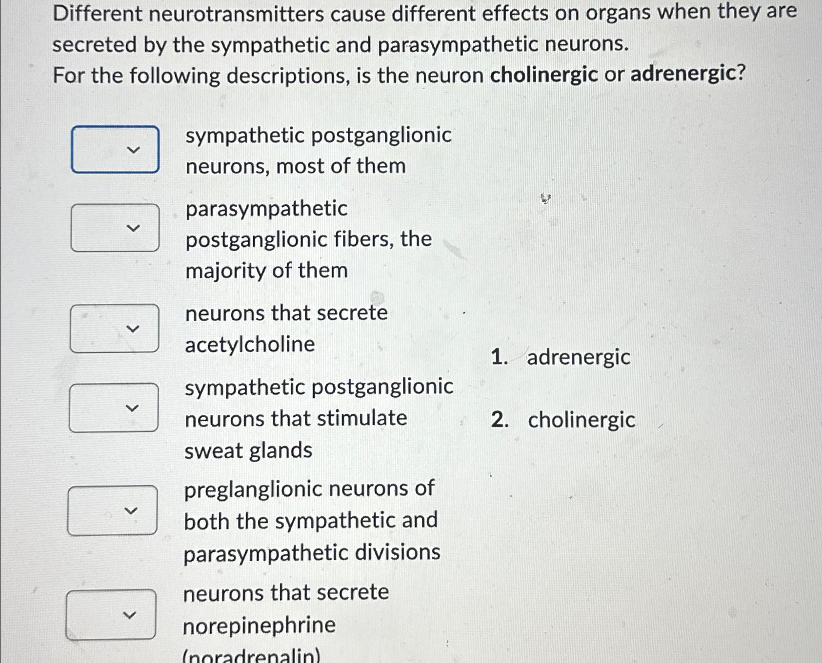 Solved Different neurotransmitters cause different effects | Chegg.com