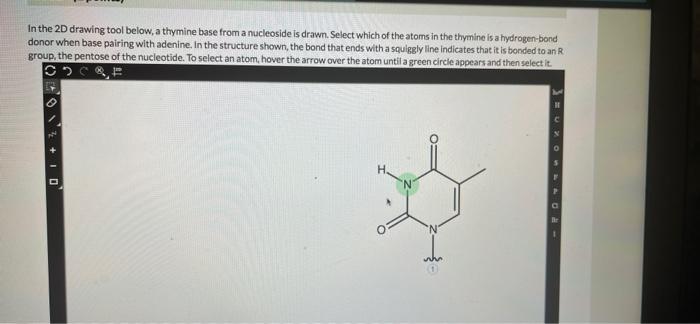 Solved In the 2D drawing tool below, a thymine base from a | Chegg.com