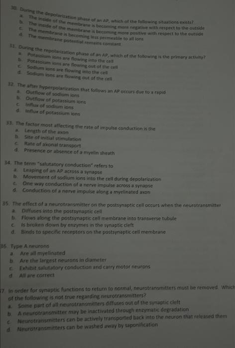 Solved 30. During the depolarization phase of an AP, which | Chegg.com