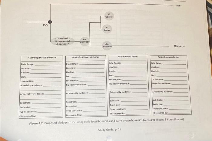 Figure 4.2. Proposed cladogram including early fossil | Chegg.com