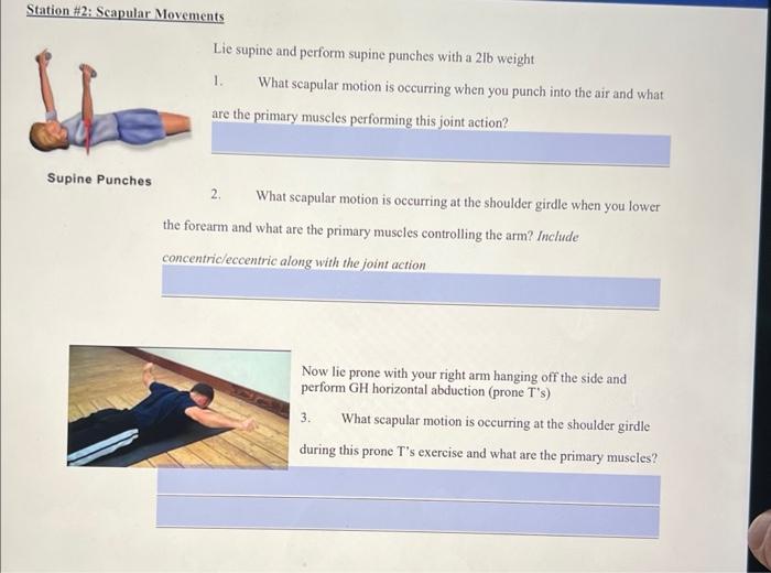 Solved Station \#2: Scapular Movements Lie supine and | Chegg.com