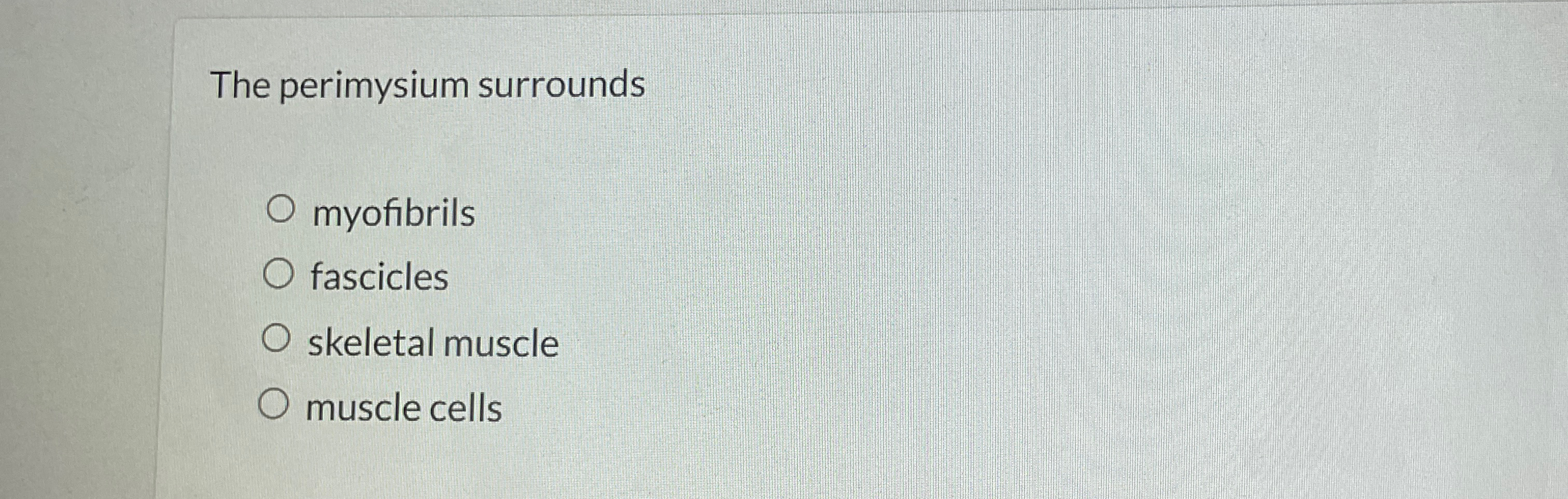 Solved The perimysium surroundsmyofibrilsfasciclesskeletal | Chegg.com