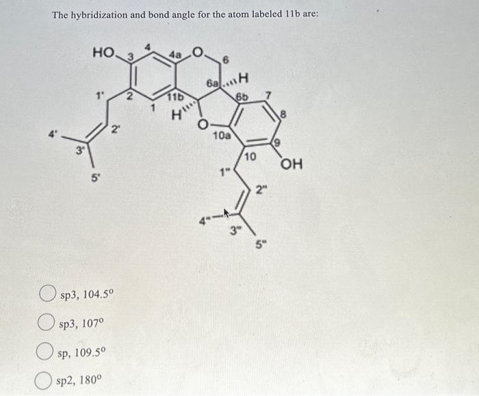 Solved The hybridization and bond angle for the atom labeled | Chegg.com