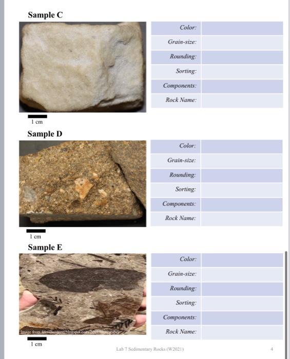 Solved Sample C Color: Grain-size: Rounding Sorting | Chegg.com