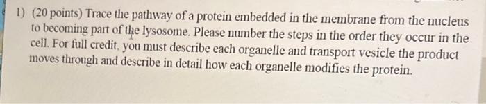 Solved 1) (20 points) Trace the pathway of a protein | Chegg.com