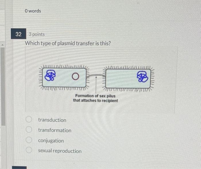 Solved Which type of plasmid transfer is this? transduction | Chegg.com