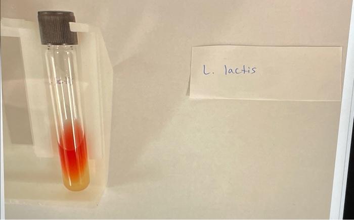 Solved PART B: Methyl Red Test and Voges-Proskauer Test | Chegg.com