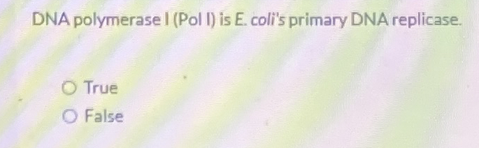 Solved DNA polymerase I (Pol I) ﻿is E. ﻿coli's primary DNA | Chegg.com